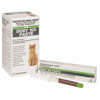 Doxy 100 Paste (Apex Brand) 2.5g Syringes 6 Pack