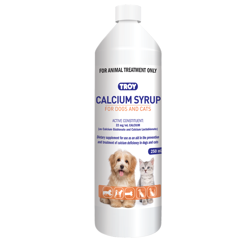 CALCIUM SYRUP 250ml