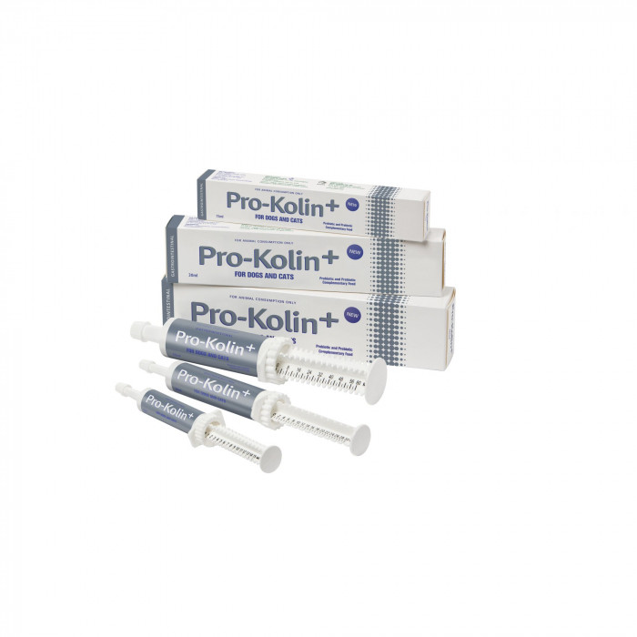 Pro-Kolin+ 30ml tube