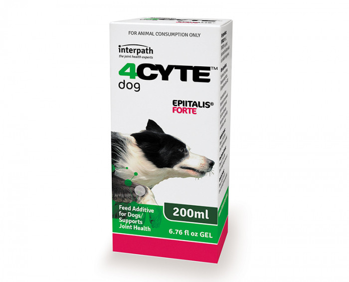 4CYTE Epiitalis Forte Gel Dog 200ml - The Animal Pharmacy