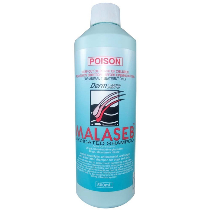 DERMCARE MALASEB MEDICATED SHAMPOO 500ml