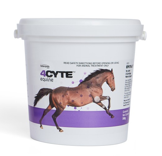4CYTE Equine 700gms - The Animal Pharmacy