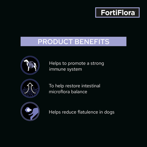 Fortiflora for Dogs | Purina FortiFlora Canine Probiotics for Dogs