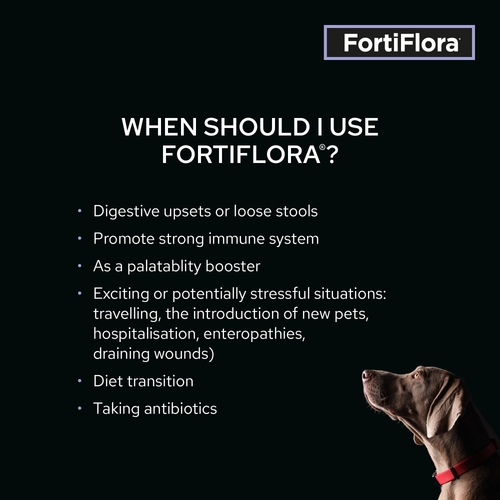 Fortiflora for Dogs | Purina FortiFlora Canine Probiotics for Dogs