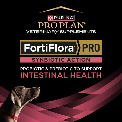 Fortiflora for Dogs | Purina FortiFlora Canine Probiotics for Dogs