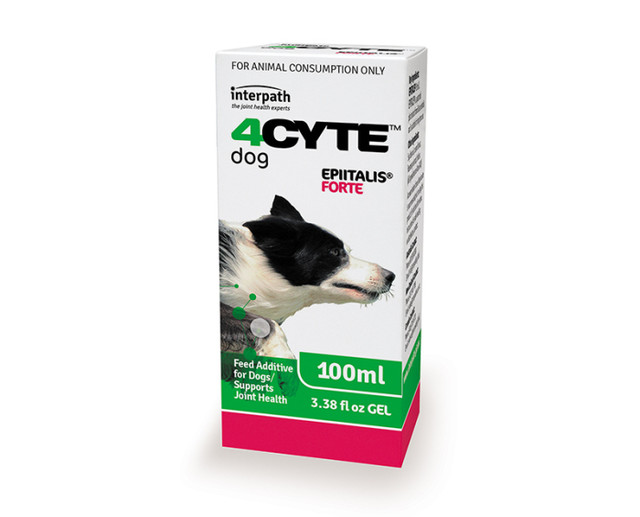Buy 4CYTE Epiitalis Forte Gel For Dogs 100ml - TAP