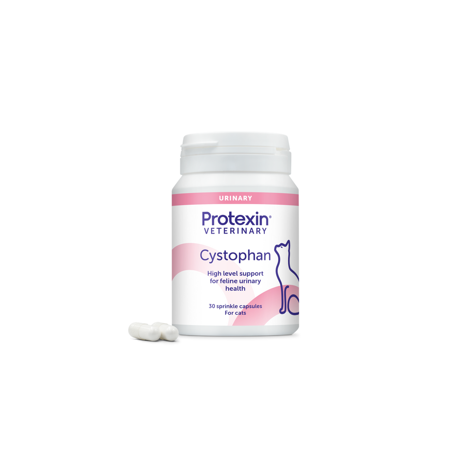 Cystophan for Cats (30 capsules) - The Animal Pharmacy