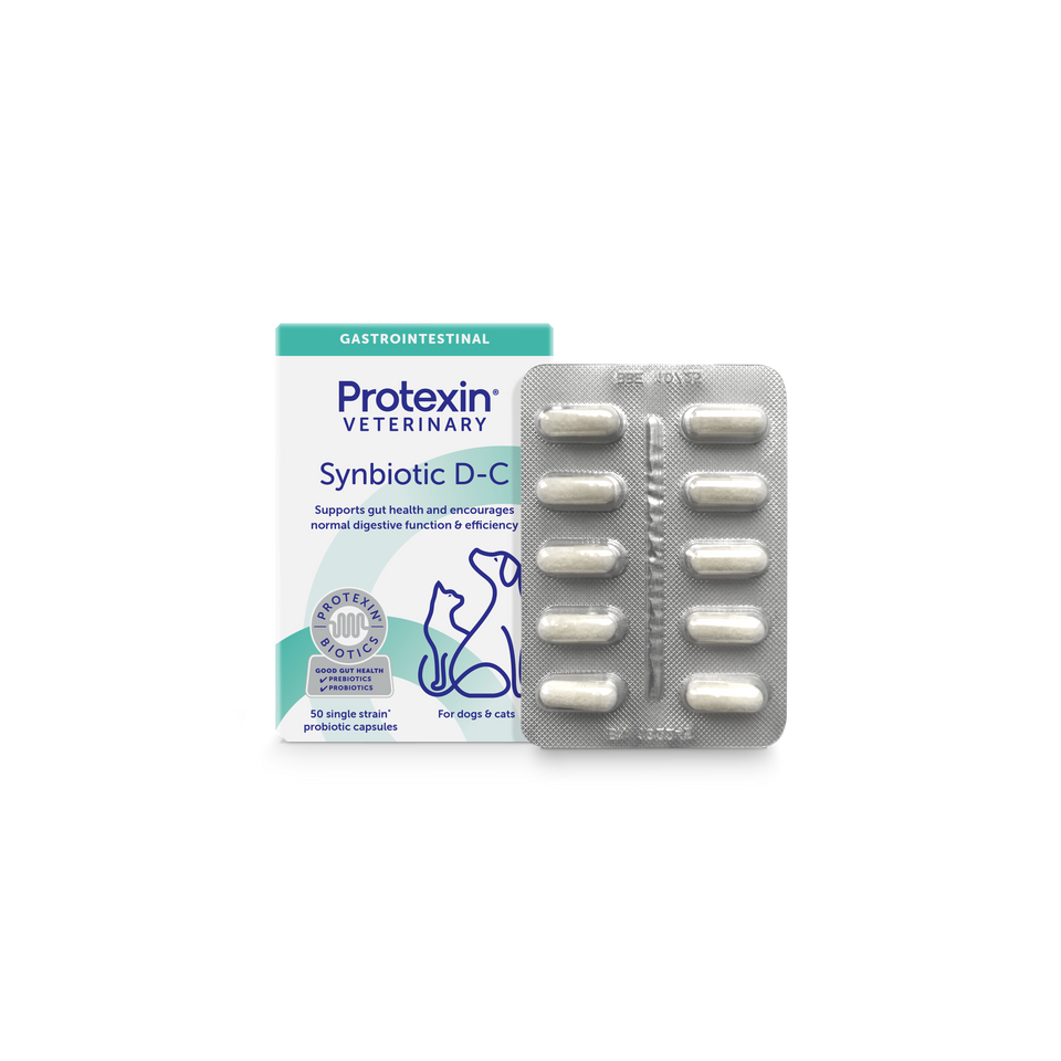 Synbiotic DC ProBiotic Capsules