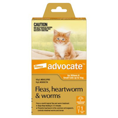 ADVOCATE FOR KITTENS AND SMALL CATS UP TO 4KG