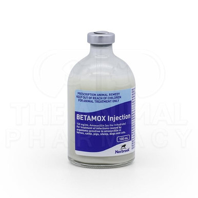 Betamox Injection 100ml (ETA 30th May 2025) - The Animal Pharmacy