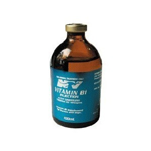 VITAMIN B1 (THIAMINE) INJECTION 100mL
