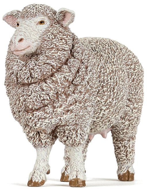 Papo Merino Sheep - Ram #51174 - Sturdy, Rough Haired Sheep