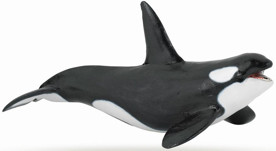 Papo Sea Life - Whale Shark #56039 - Vivid Spots and Stripes