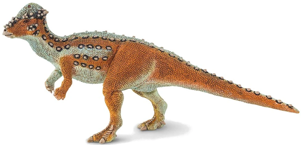 PNSO Austin Pachycephalosaurus #46 - Domed head for ramming