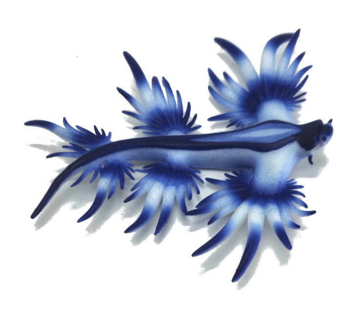 Bullyland - Blue Sea Slug Glaucus Atlanticus #67511