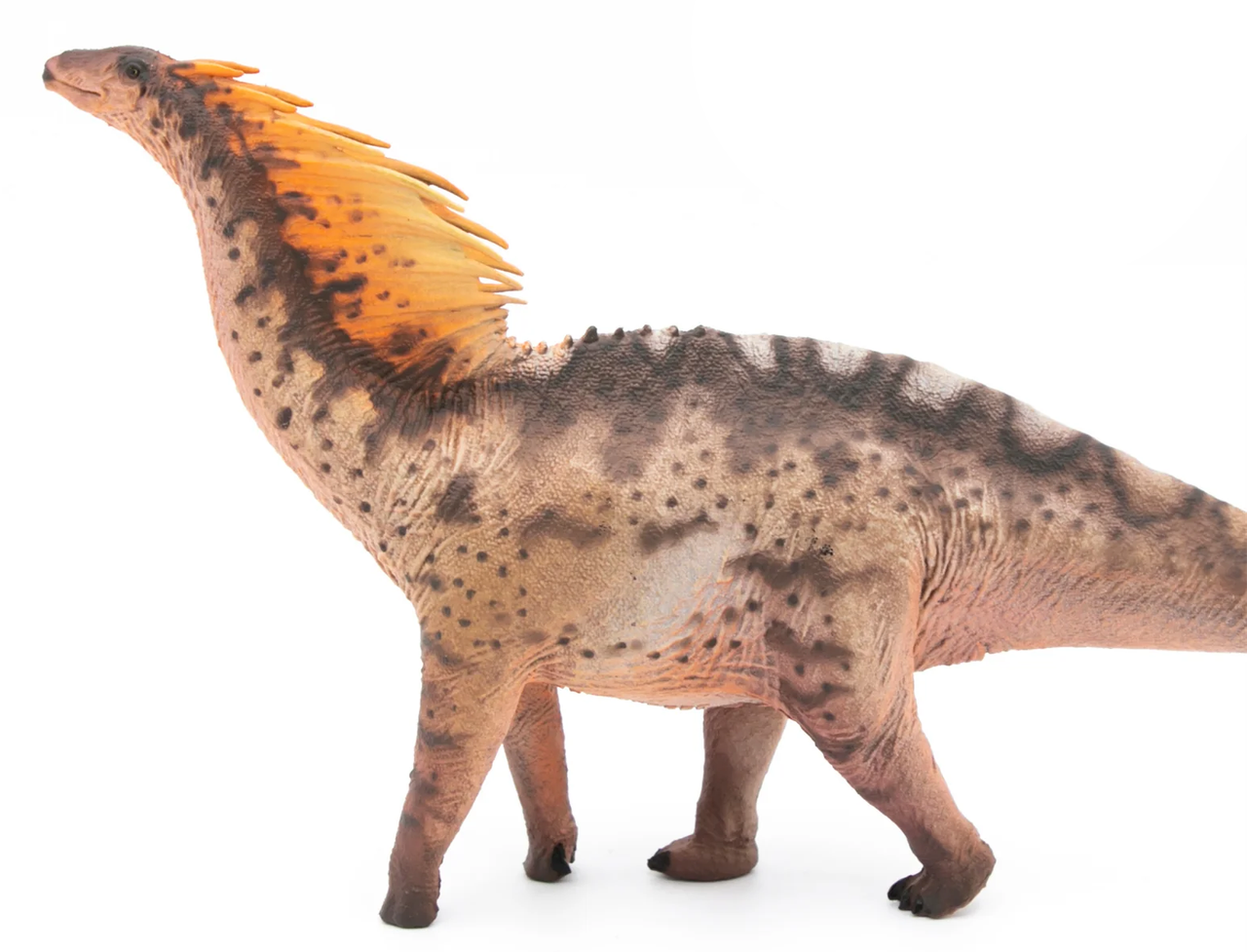 Halonggood Amargasaurus - Li Gun #124 Unique Neck Spines