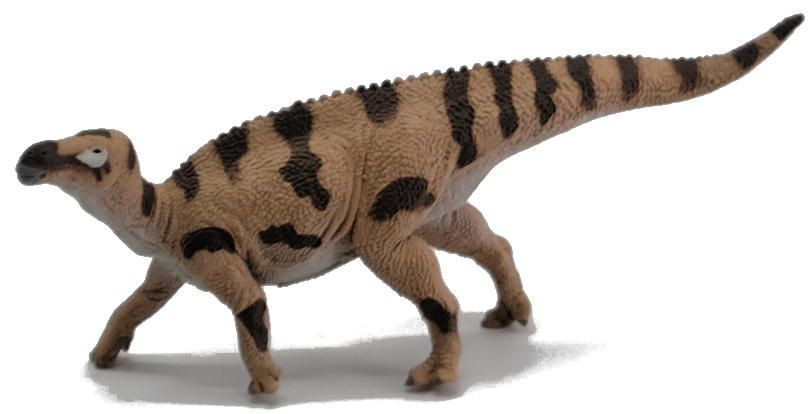 CollectA Brighstoneus # 88973 - bright contrasting stripes