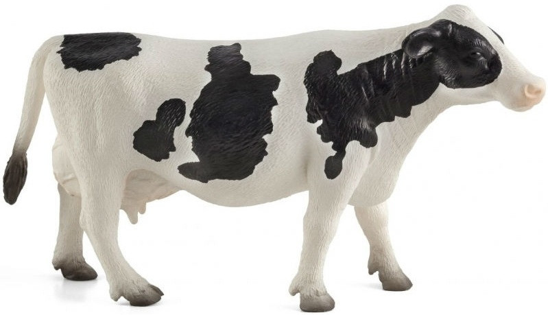Holstein Friesian Cattle Holstein UK Education Section