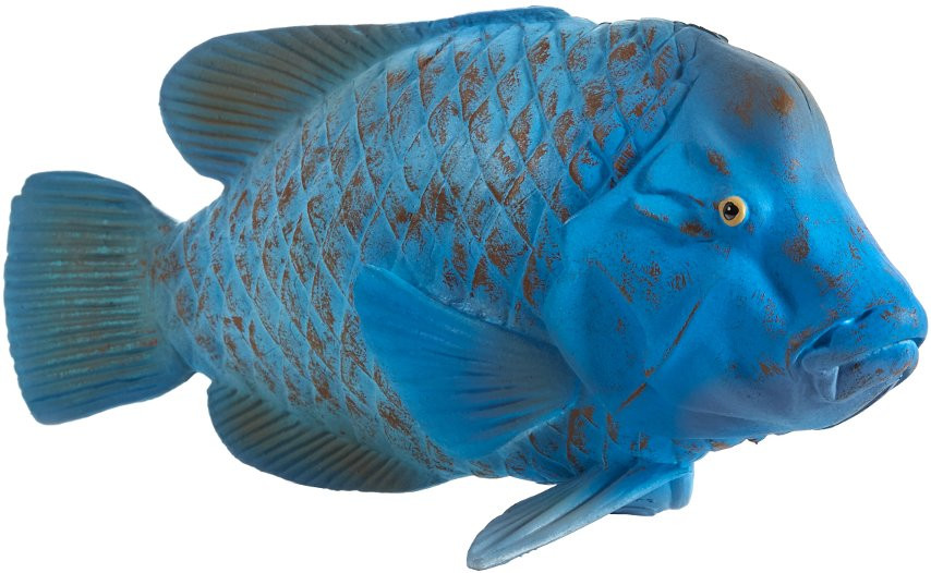 Mojo Sea Life - Blue Groper #387356 - Dynamic Blue Coloring