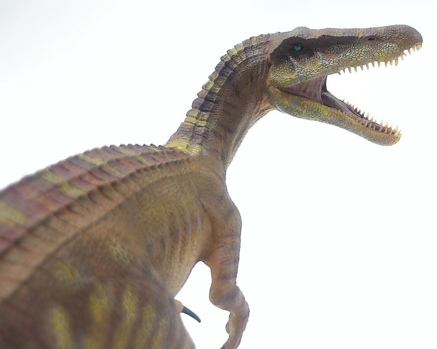 Nanmu Baryonyx - Calypso 171971 - Mouth of razor sharp teeth