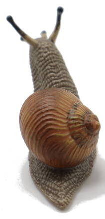 Papo Snail #50262 - Winsome figure with hardend shell
