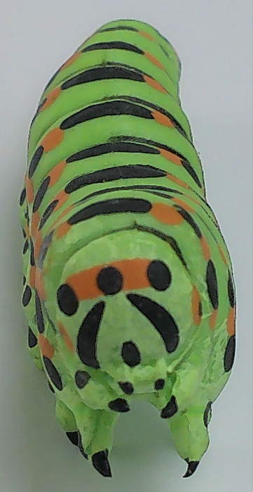 Papo Insects - Caterpillar #50266 - Vibrant Green Body