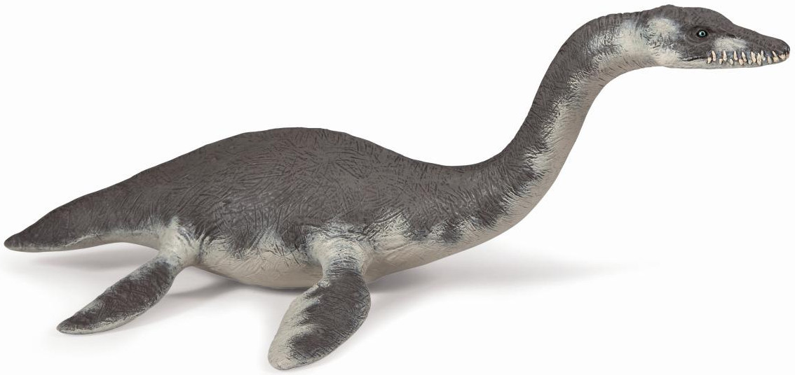 Papo Plesiosaurus #55021 - Wide Turtle Like Grey Body