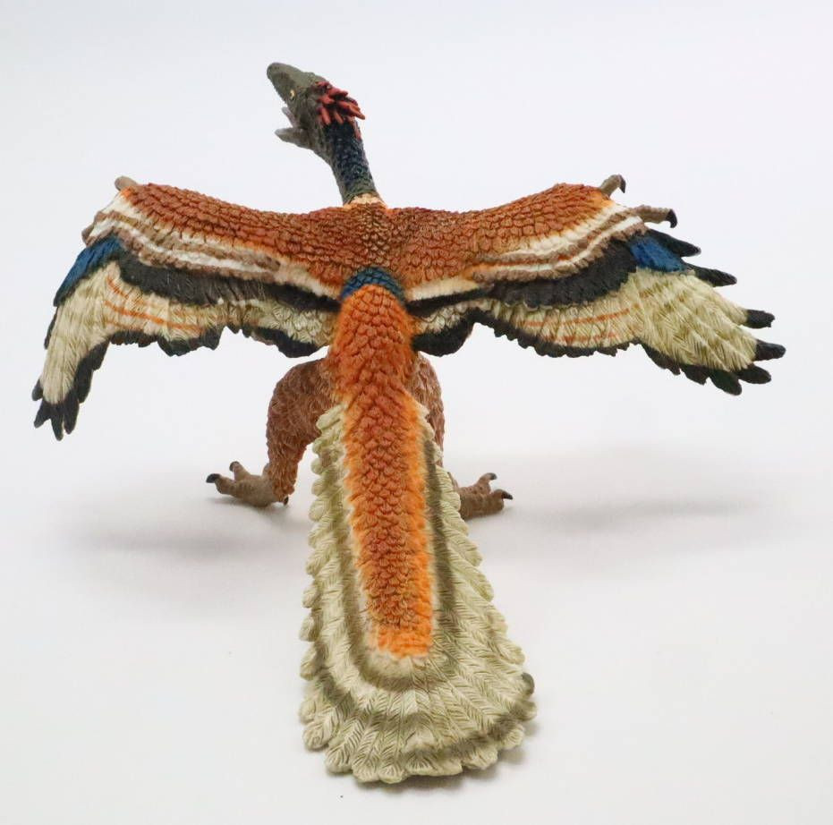 Papo Archaeopteryx #55034 Colorful re-issue of retired model