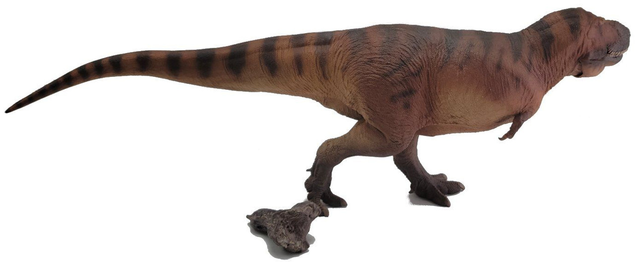 PNSO Cameron the Tyrannosaurus Rex Scientific Art Model #100