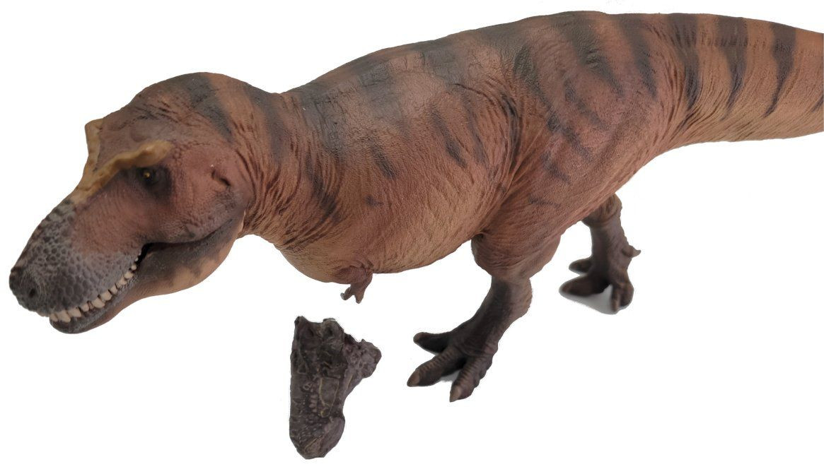 PNSO Cameron the Tyrannosaurus Rex Scientific Art Model #100