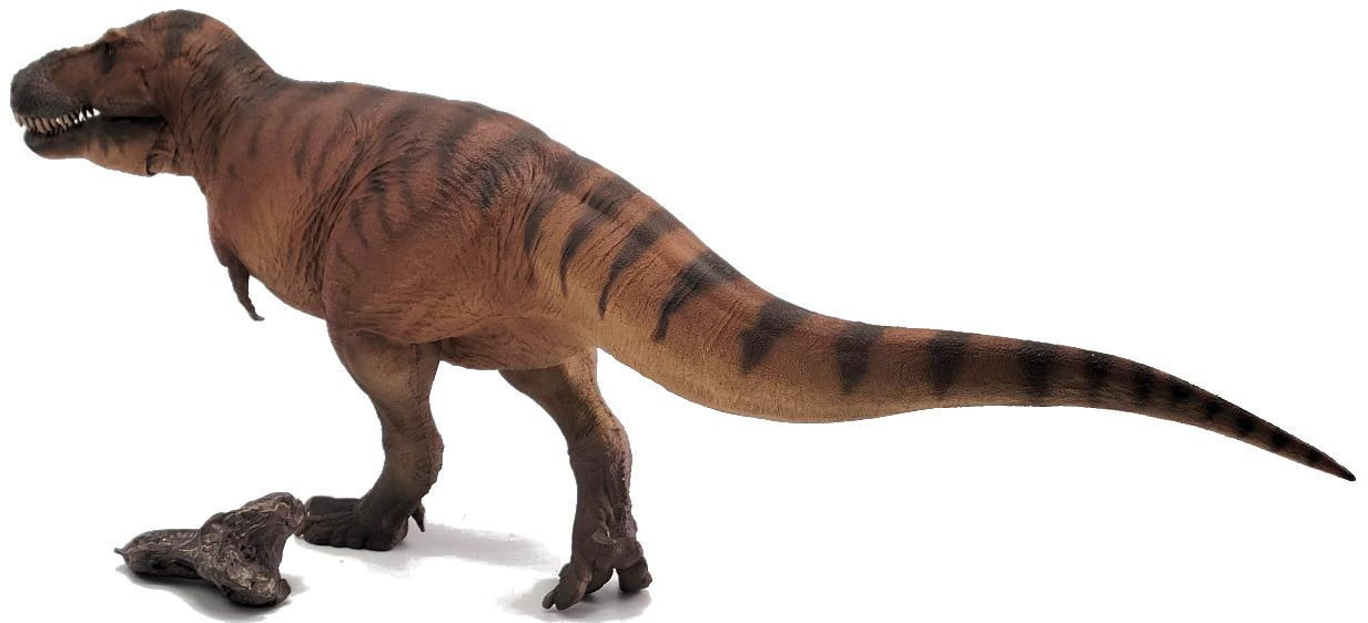 PNSO Cameron the Tyrannosaurus Rex Scientific Art Model #100