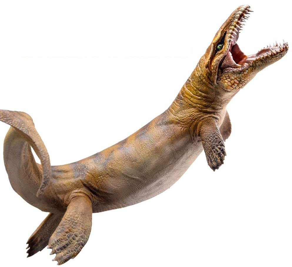 PNSO Paulwin the Dakosaurus #18 - Dinosaur Museum Series