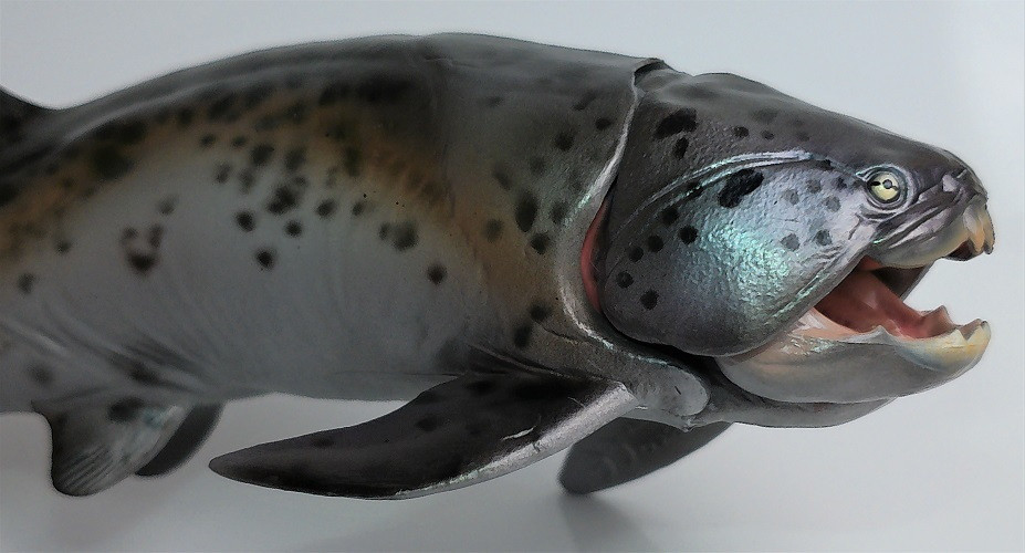 PNSO Zaha the Dunkleosteus #47 - New 2022 - Beautiful Shine