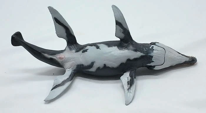 Kronosaurus An New Look For Kronosaurus | The Pterosaur Heresies