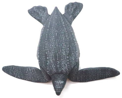 Safari Ltd. - Leatherback Sea Turtle #202429 - Grey Shell