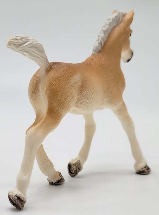 Schleich - Haflinger foal 13951 by Schleich