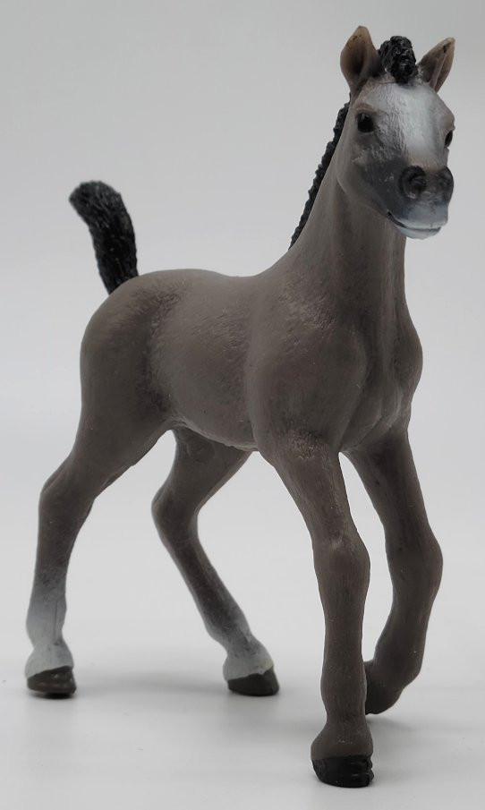 Schleich - Cheval de Selle Francais Foal #13957, New 2023