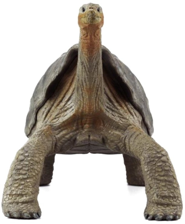 REBOR - Lonesome George - Pinta Island Tortoise 1:6 #161045