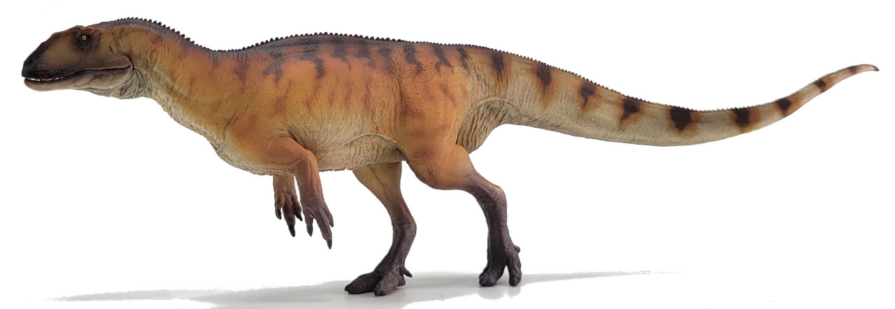 Yangchuanosaurus shangyouensis - Dayong (PNSO)