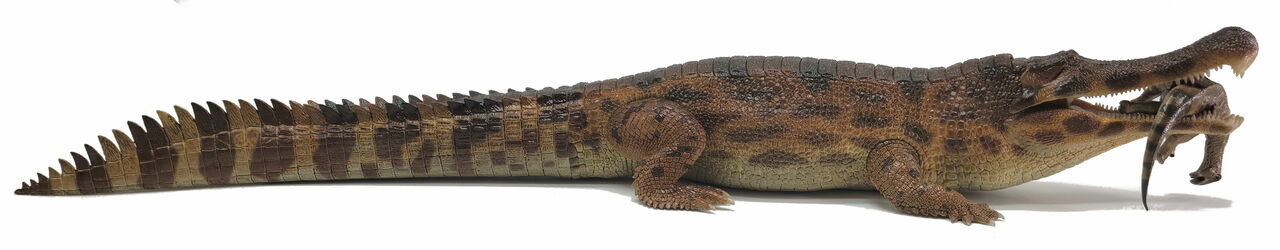 Sarcosuchus imperator Lica - River Deluxe 1:35 Model (REBOR)