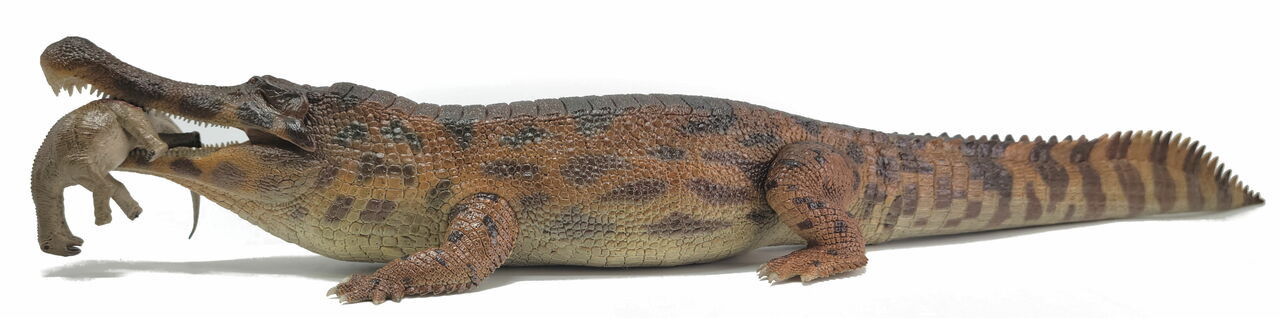 Sarcosuchus imperator Lica - River Deluxe 1:35 Model (REBOR)