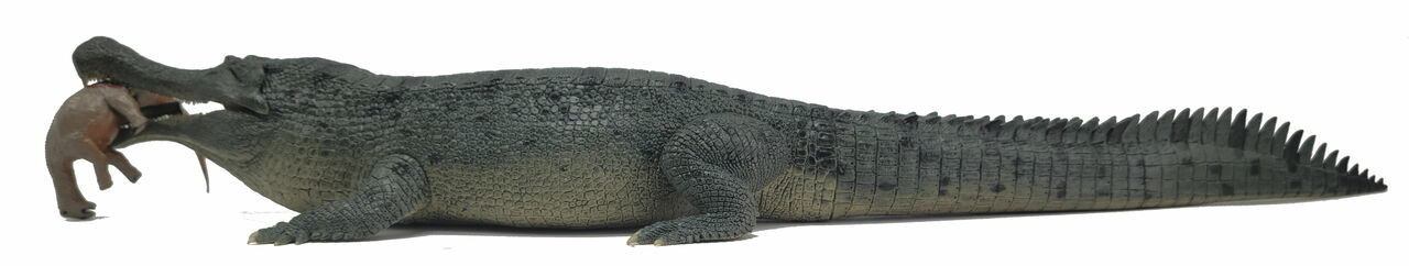 Sarcosuchus imperator Lica - Lake Deluxe 1:35 Model (REBOR)