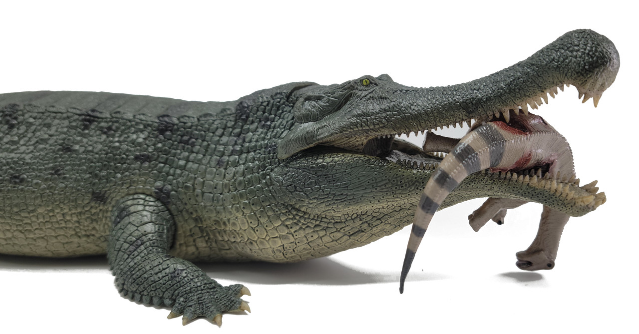 Sarcosuchus Imperator Lica Lake Deluxe 135 Model Rebor