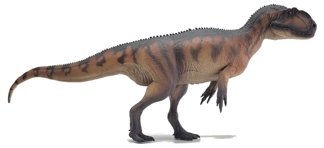 Yangchuanosaurus Magnus - Dapeng (PNSO)