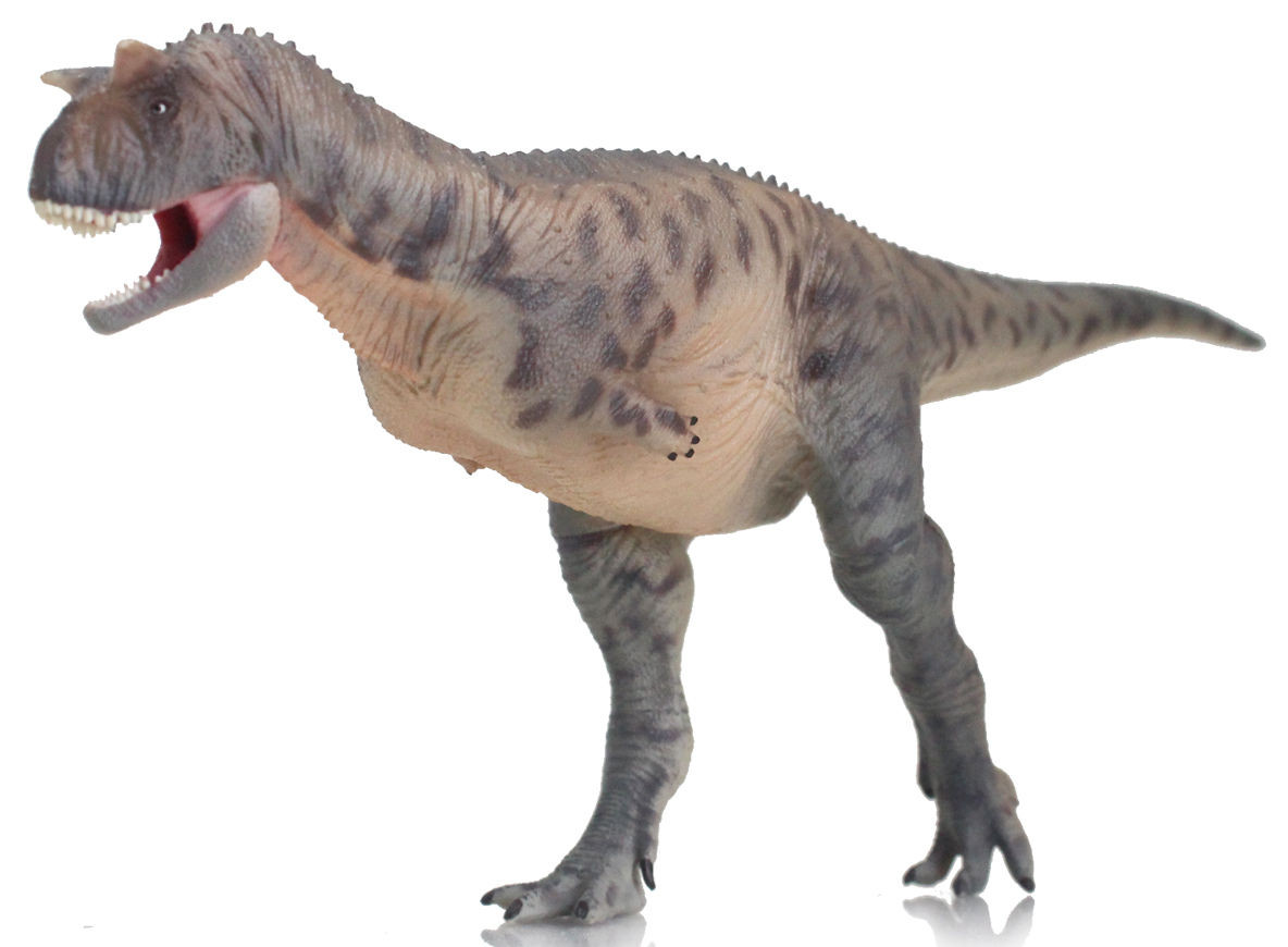 Carnotaurus - Zhou tong (Haolonggood)