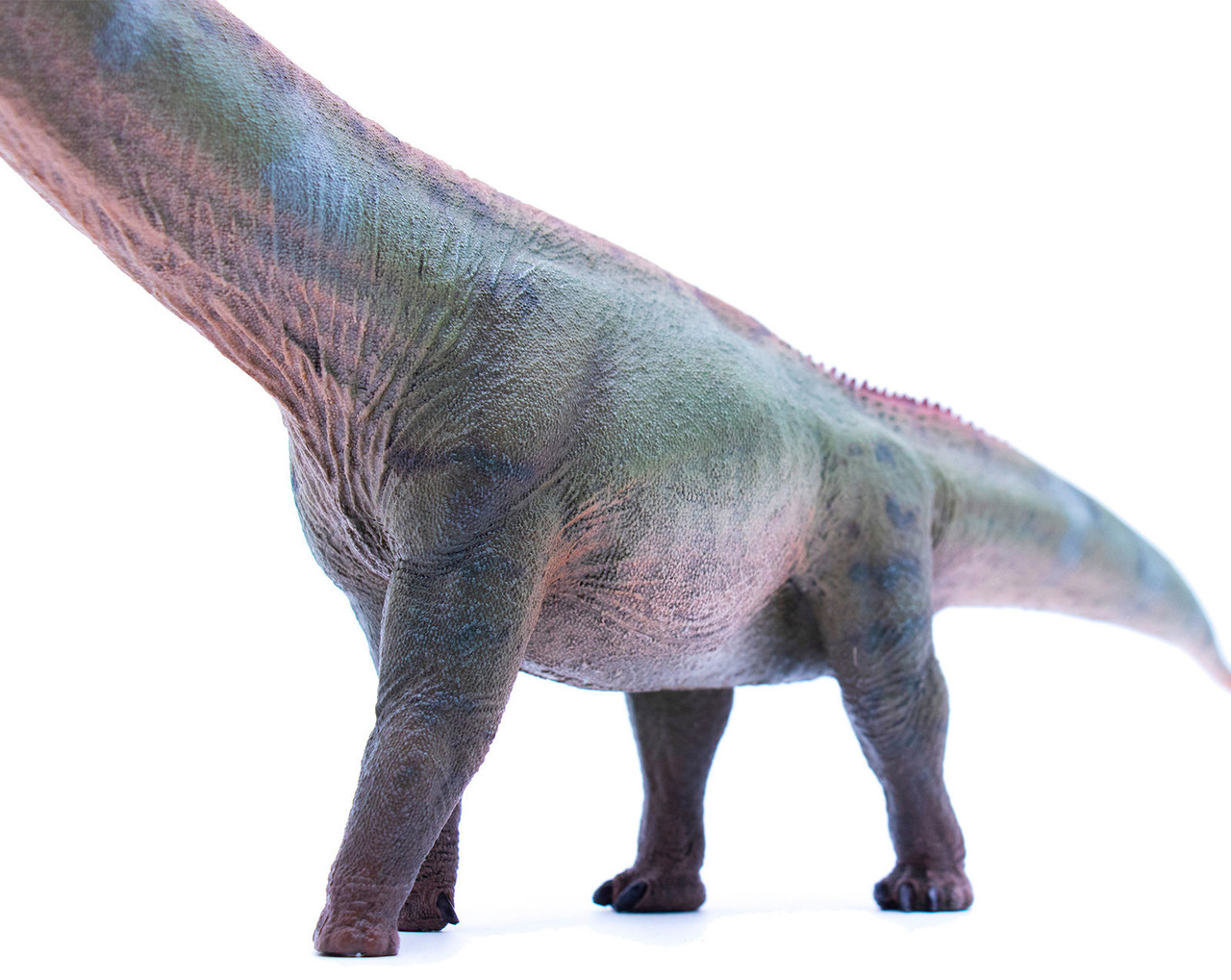 Mamenchisaurus - Chai Jin (Haolonggood)