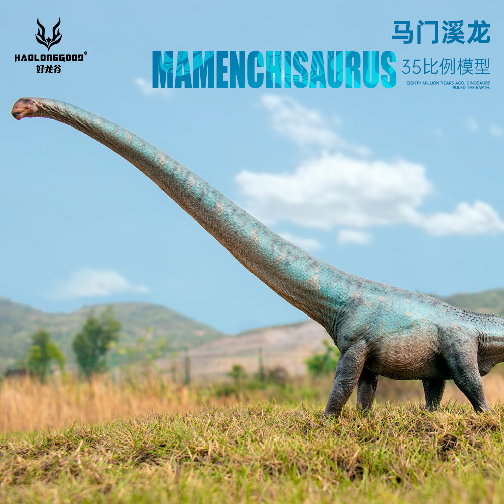 Mamenchisaurus - Heterochromatic (Haolonggood)