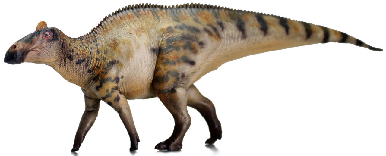 Edmontosaurus Pei Xuan Haolonggood Edmontosaurus Pei Xuan Haolonggood