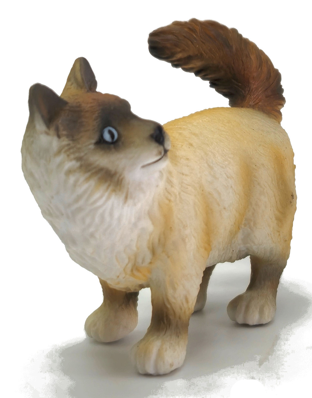 CollectA Birman Cat Standing #88322 - Soft Coat