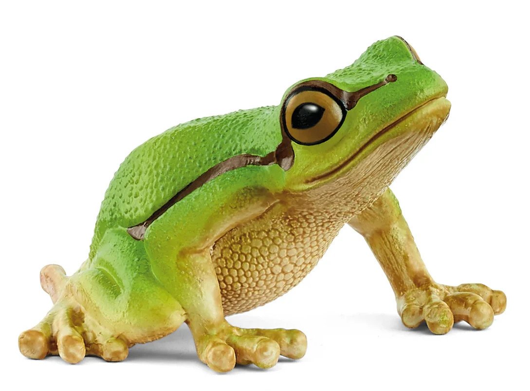 Schleich - European Tree Frog #14882